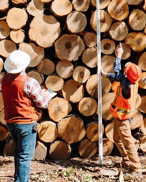 One Longyear - JM Longyear